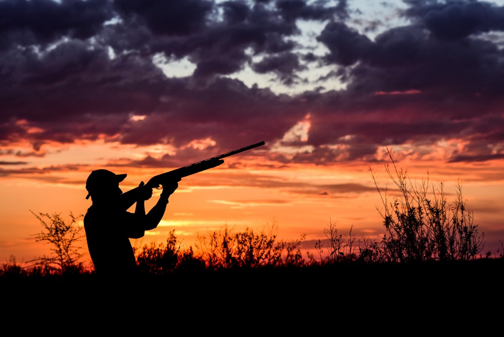 High-Volume Dove & Pigeon Hunting Argentina | SyC Sporting