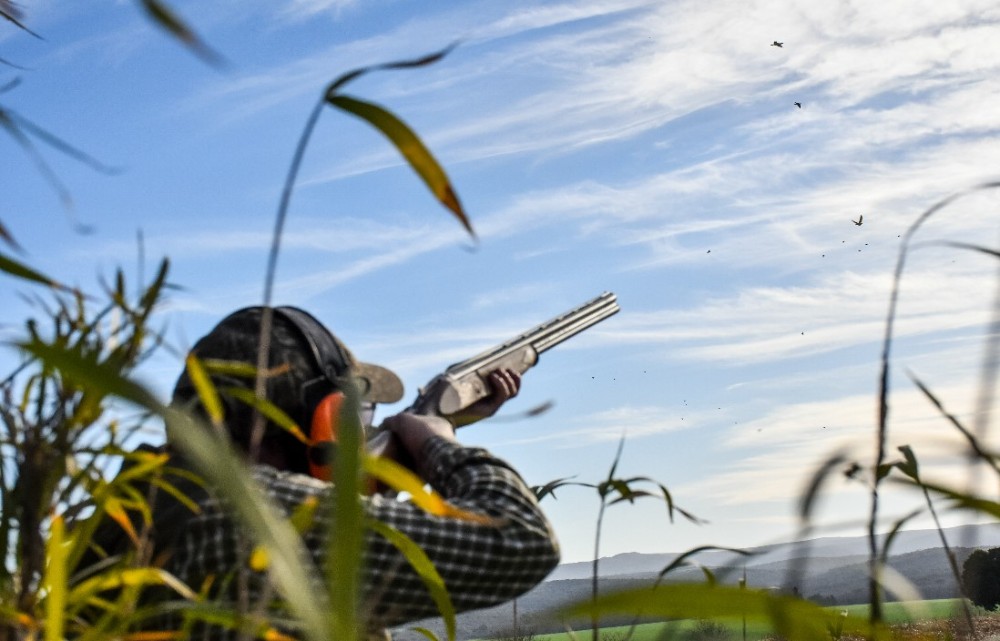 High-Volume Dove & Pigeon Hunting Argentina | SyC Sporting